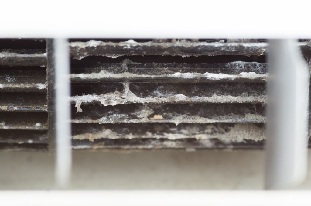 How To Clean The Mold From Your AC | Florida HVAC